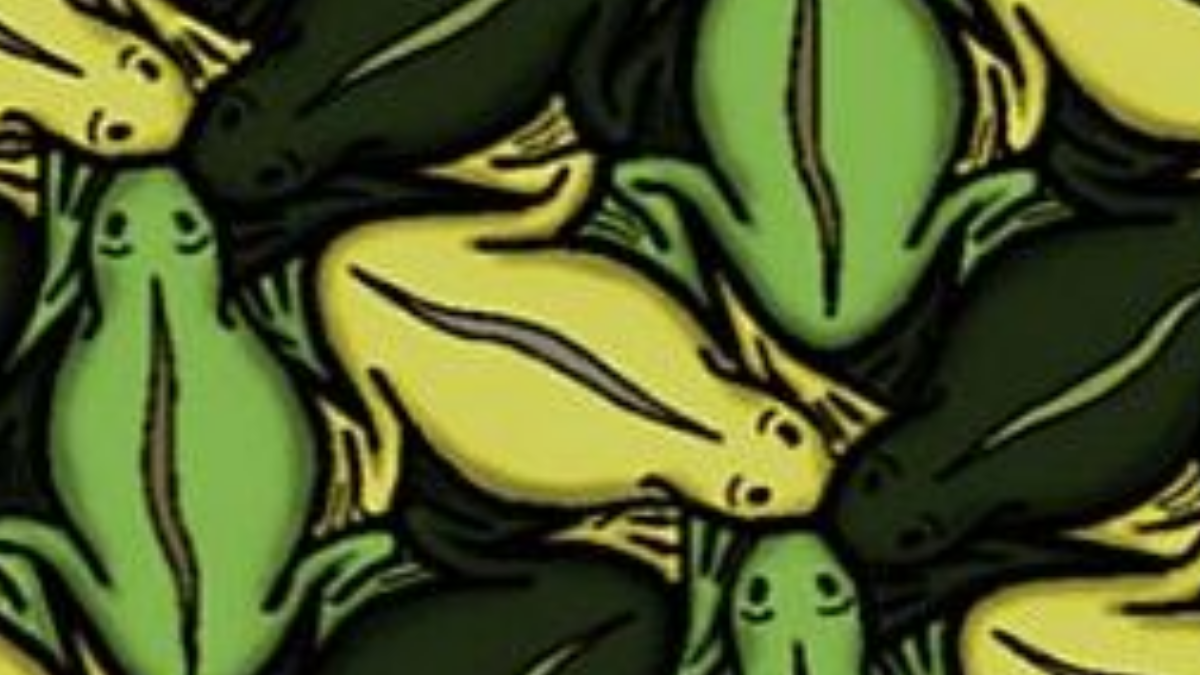 “Frogs” by DB Sullivan - Tiled.art